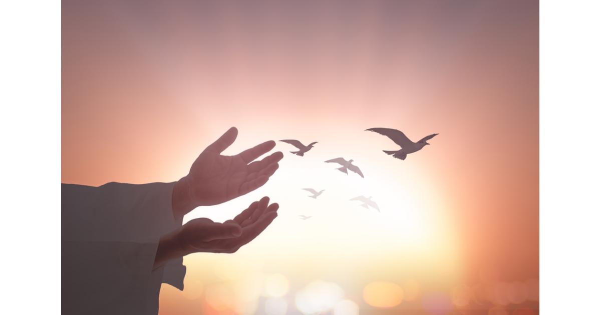The Role of Peace in Islam | Muslim Aid